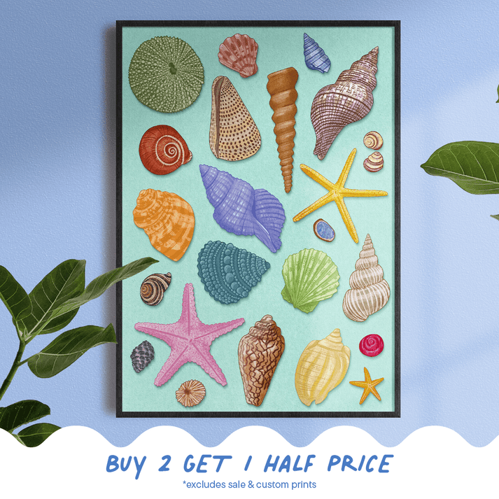 'Seashells' Print – Jessica Mae Design